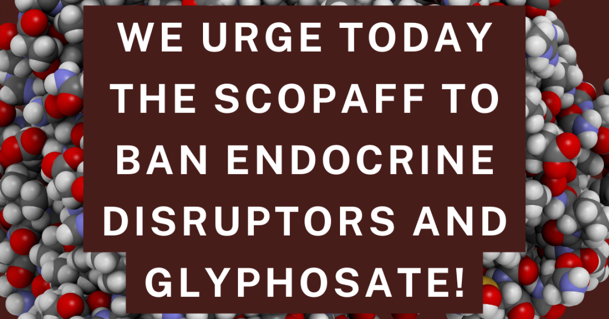 Ban endocrine disruptors, glyphosate and more: PAN Europe’s letter to ...