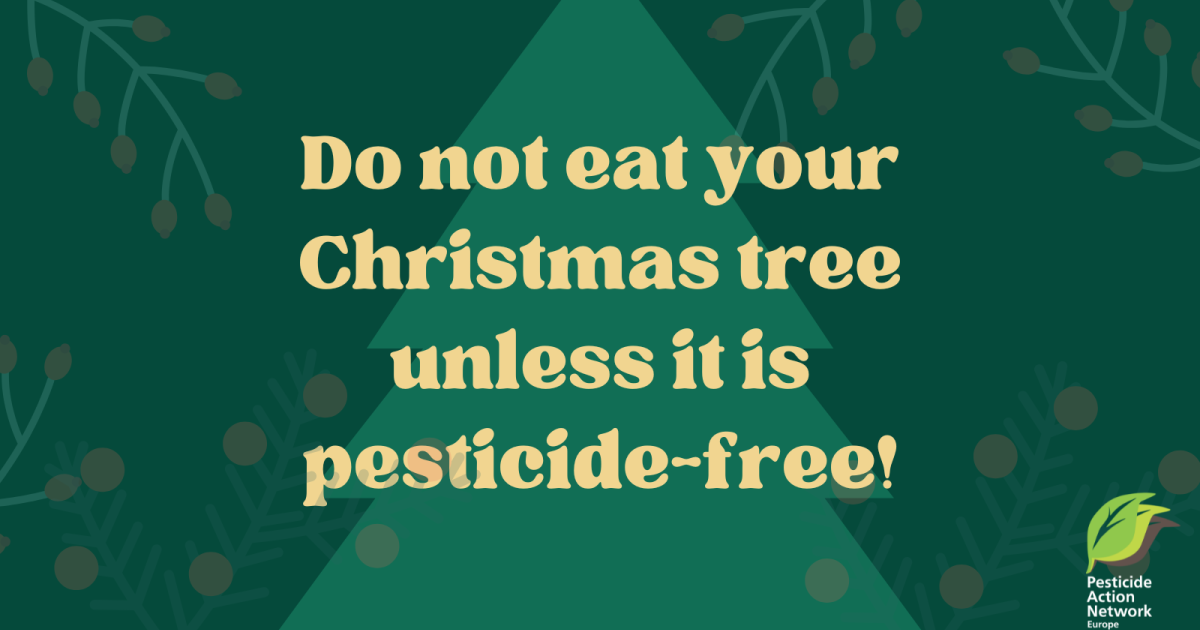 Do not eat your Christmas tree unless it is pesticide-free | PAN Europe