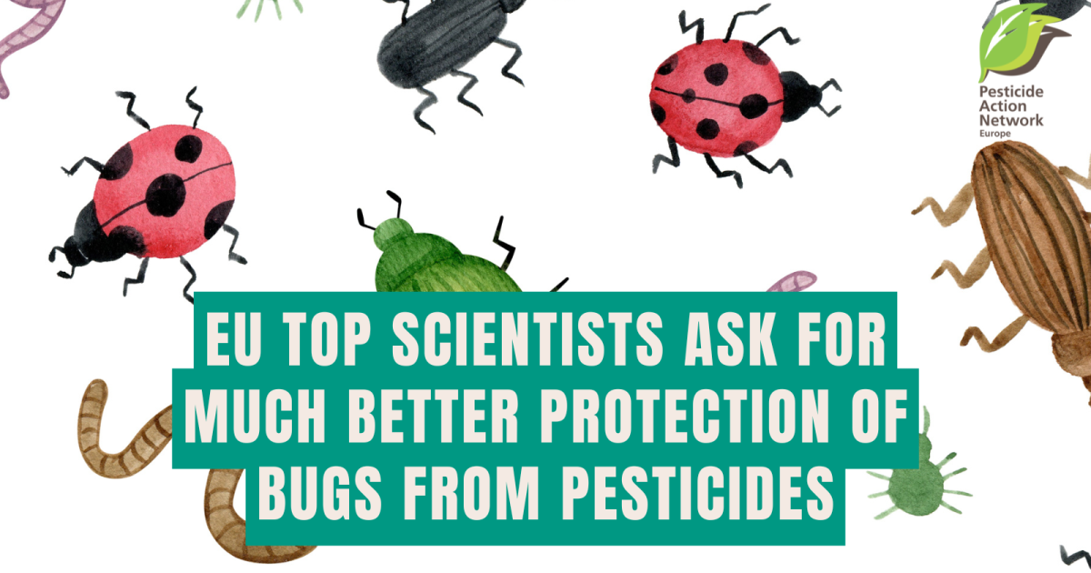 EU top scientists ask for much better protection of bugs from pesticides | PAN Europe