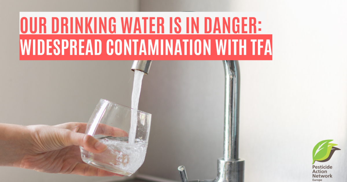 Our drinking water is in danger: widespread contamination with TFA ...