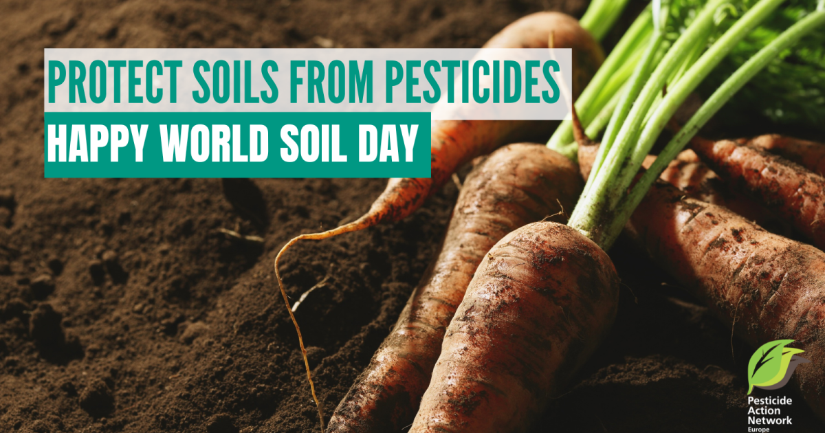 Let’s celebrate World Soil Day: Protect soils against pesticides! | PAN ...