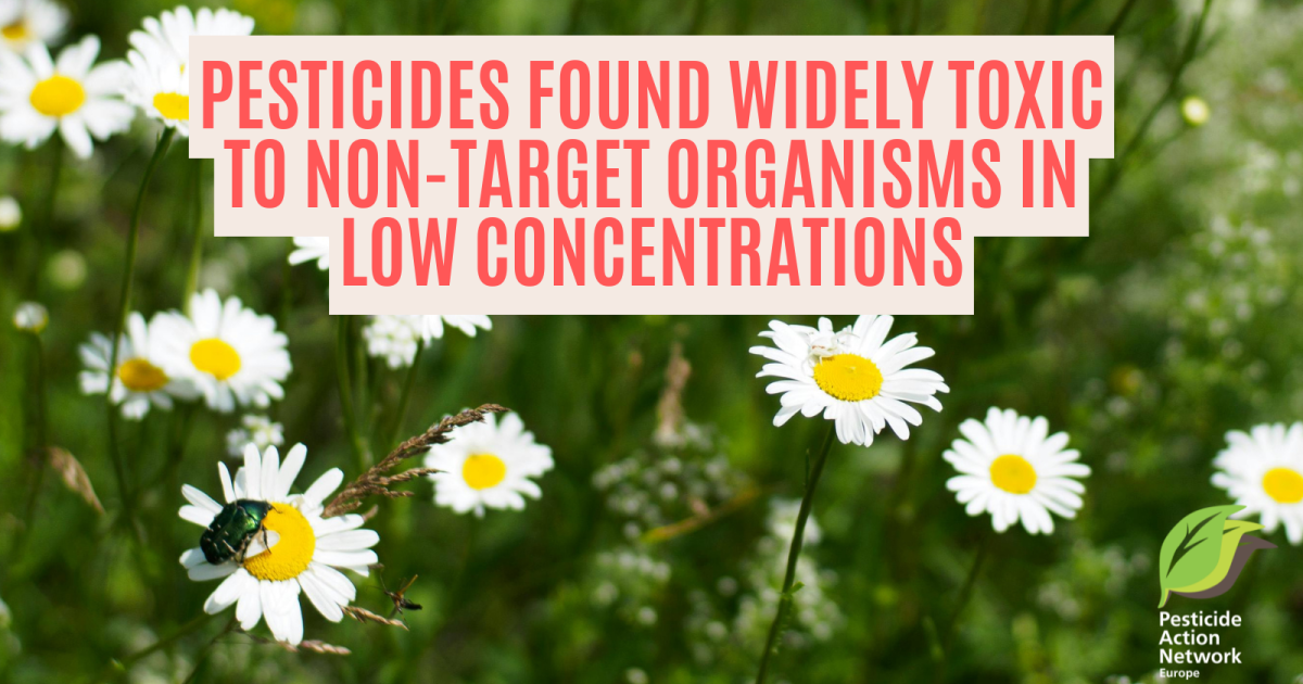 Pesticides found widely toxic to non-target organisms in low ...