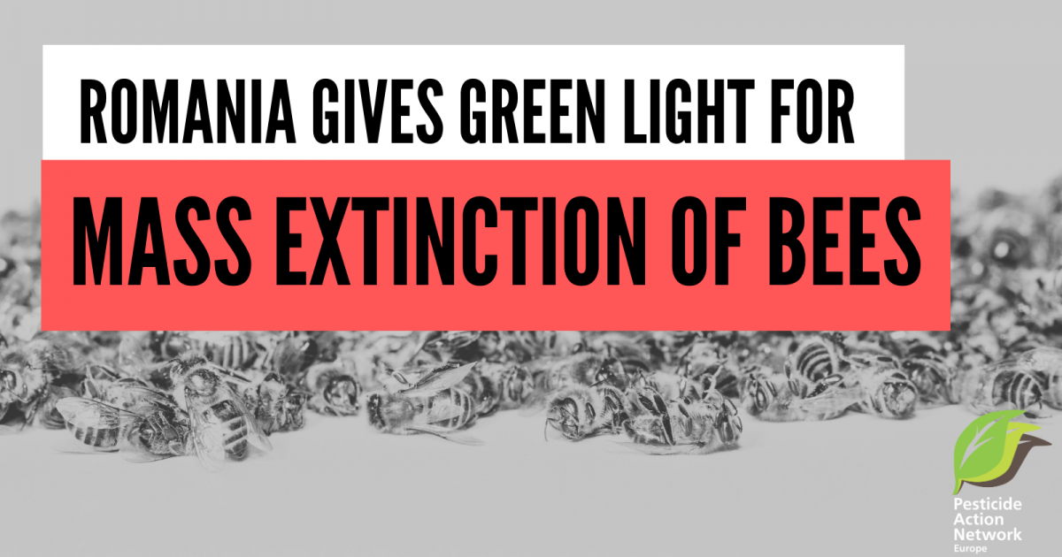 Romania gives green light for mass extinction of bees | PAN Europe