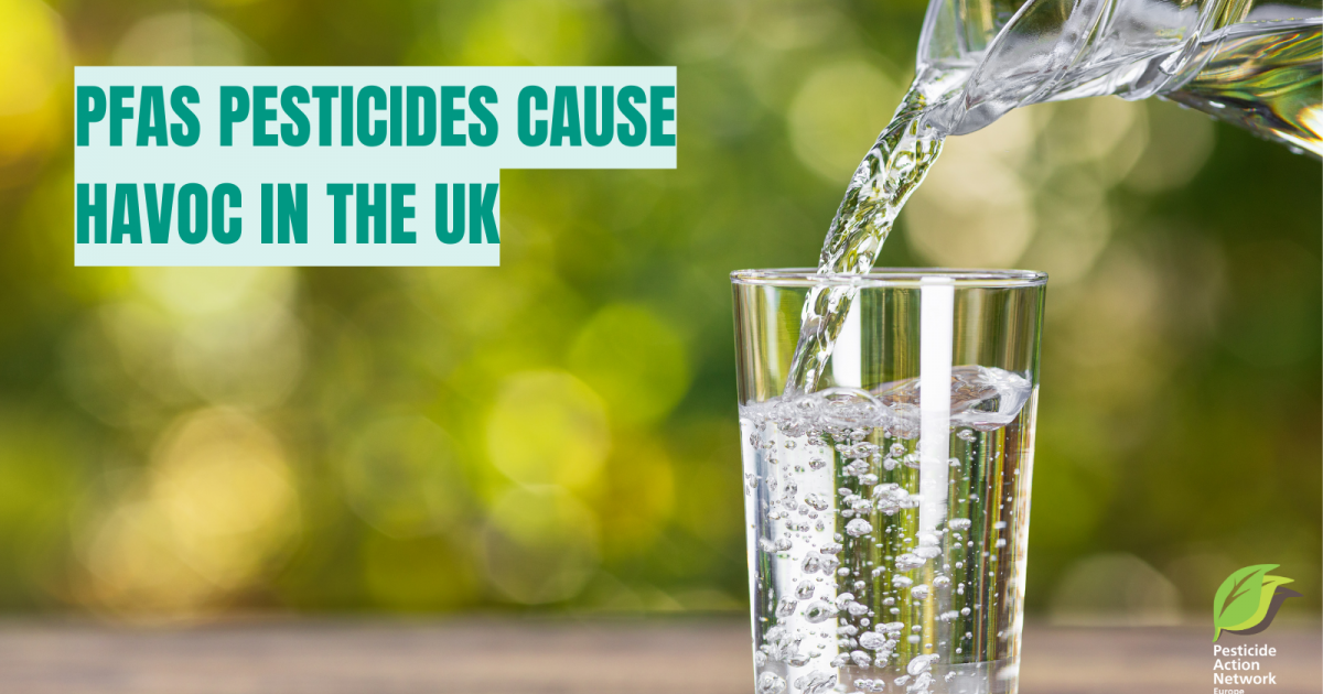 Pesticide Action Network Uk