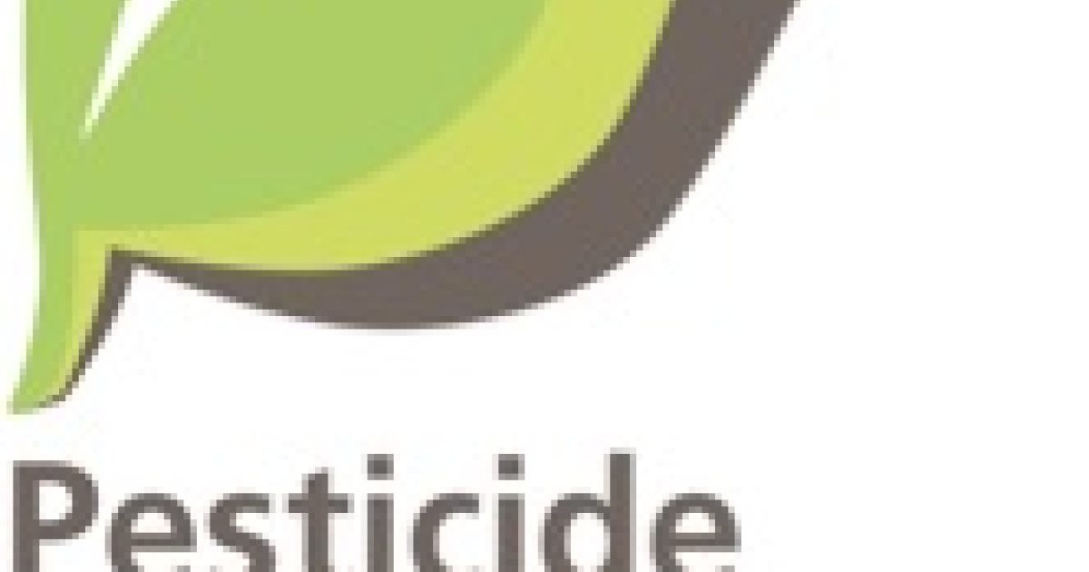 Vacancies | PAN Europe
