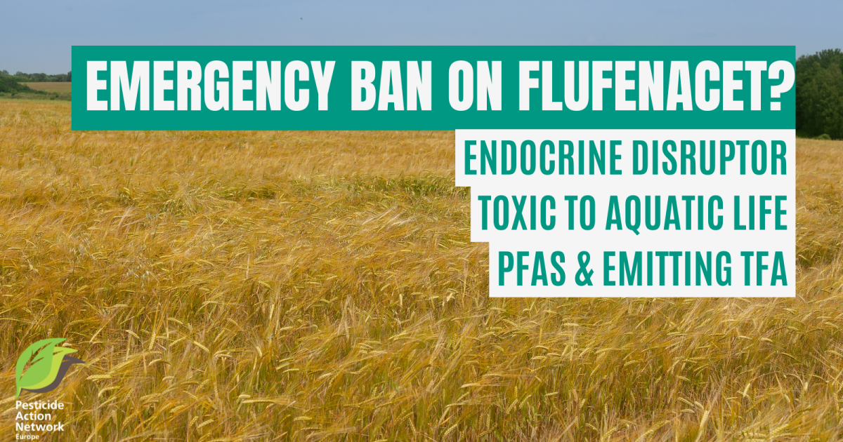 Top-Selling PFAS Herbicide Flufenacet Confirmed Harmful by EFSA: 49 ...
