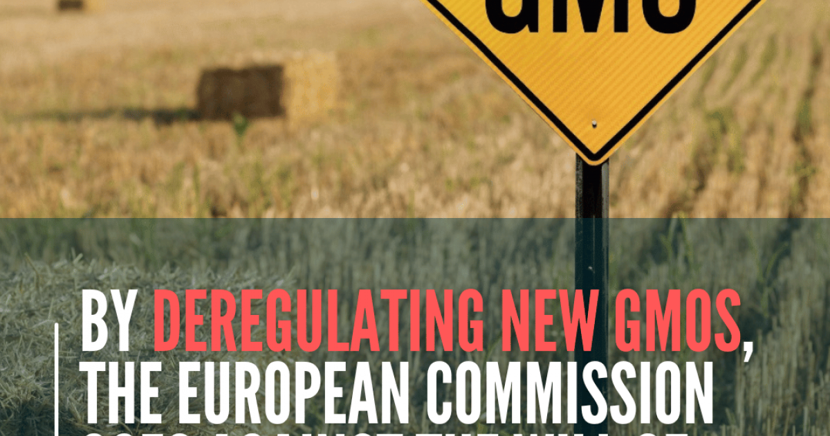By deregulating new GMOs, the European Commission goes against the will of its own citizens ...
