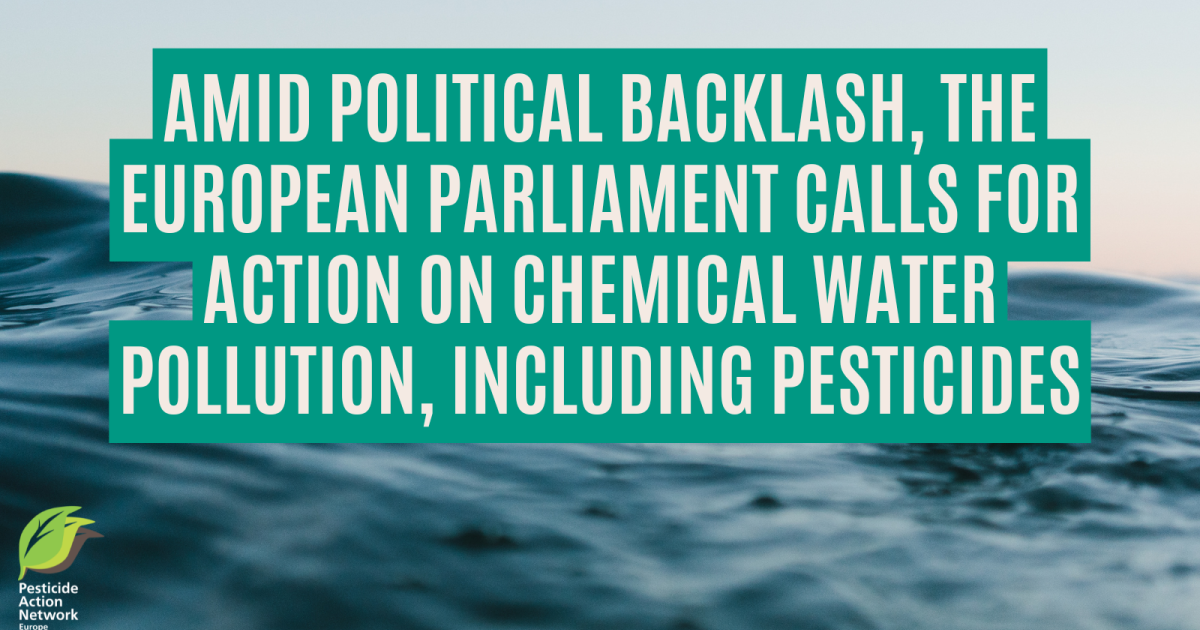 Amid political backlash, the European Parliament calls for action on ...