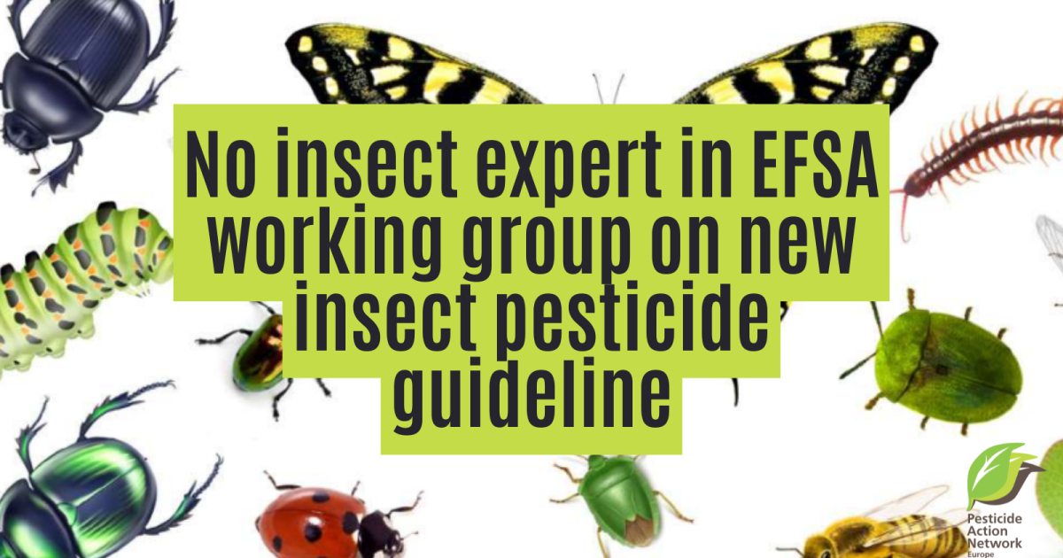 No insect expert in EFSA working group on new insect pesticide ...