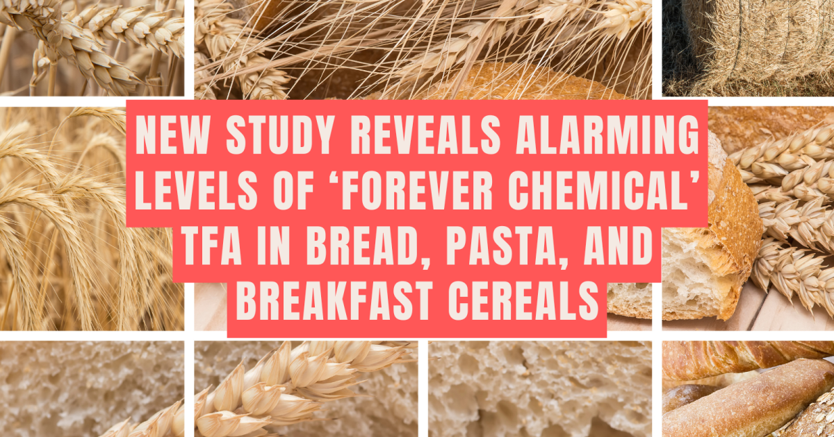 New Study Reveals Alarming Levels of ‘Forever Chemical’ TFA in bread ...