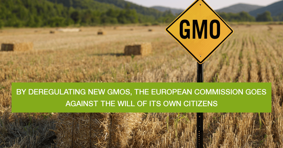 By deregulating new GMOs, the European Commission goes against the will ...
